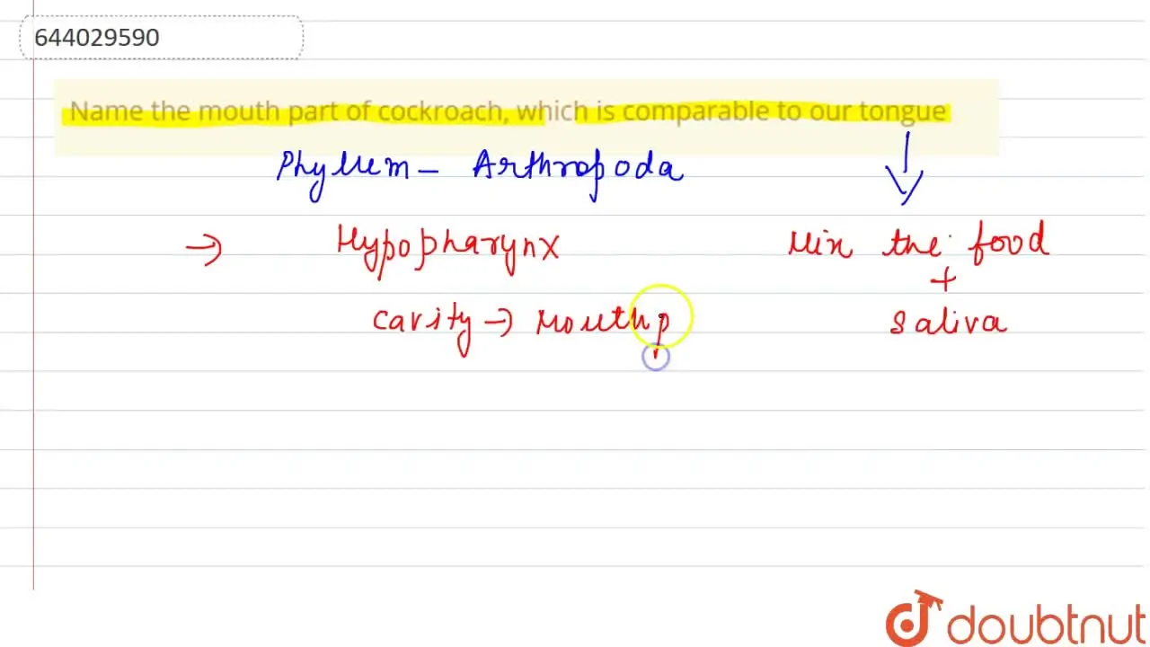 Name the mouth part of cockroach, which is comparable to our tongue