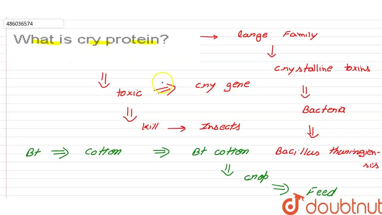 What is cry protein?