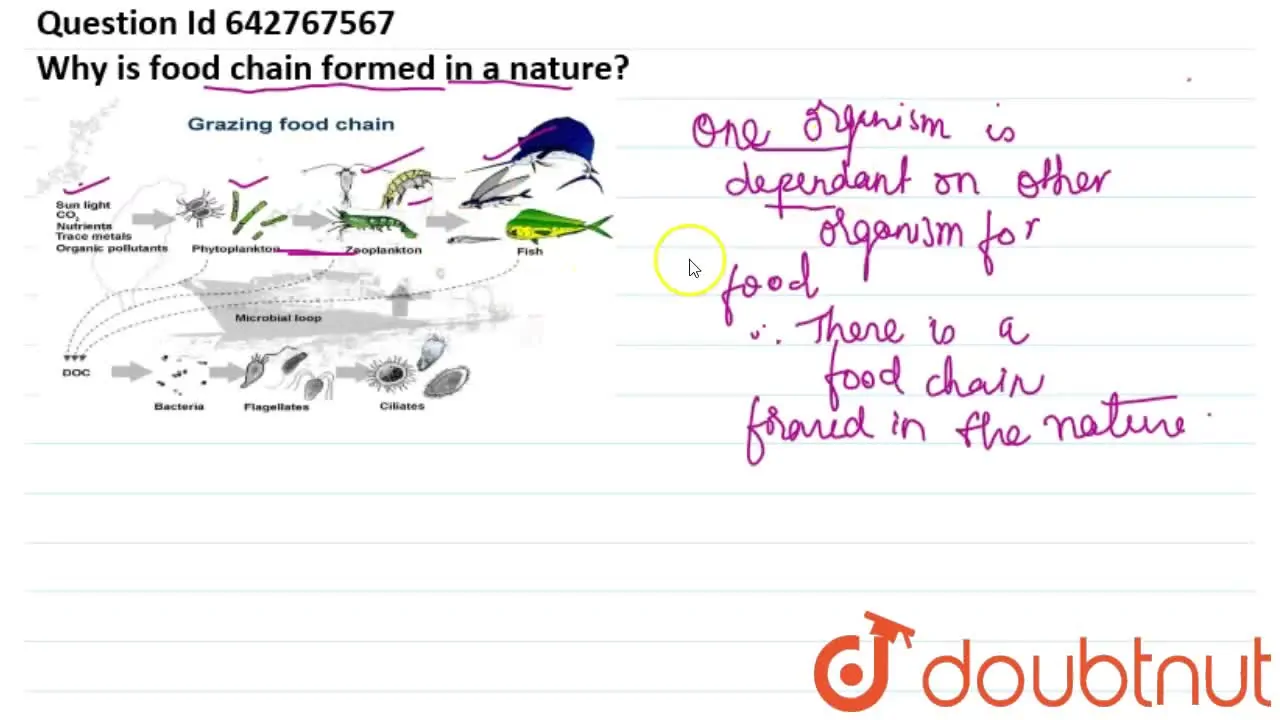 [Kannada Solution] Why is food chain formed in a nature?