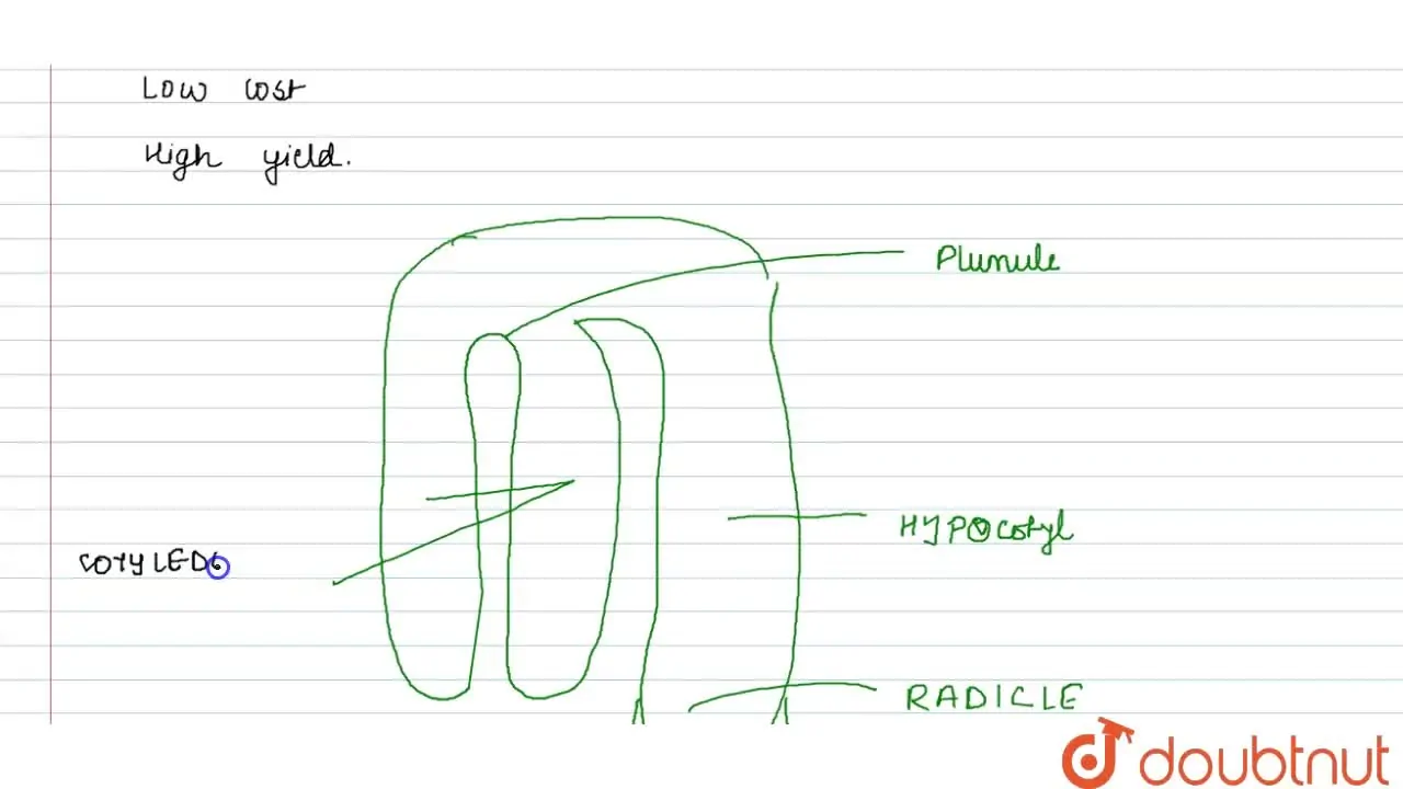 (a) Explain the different ways apomictic seeds can develop. Give an ex