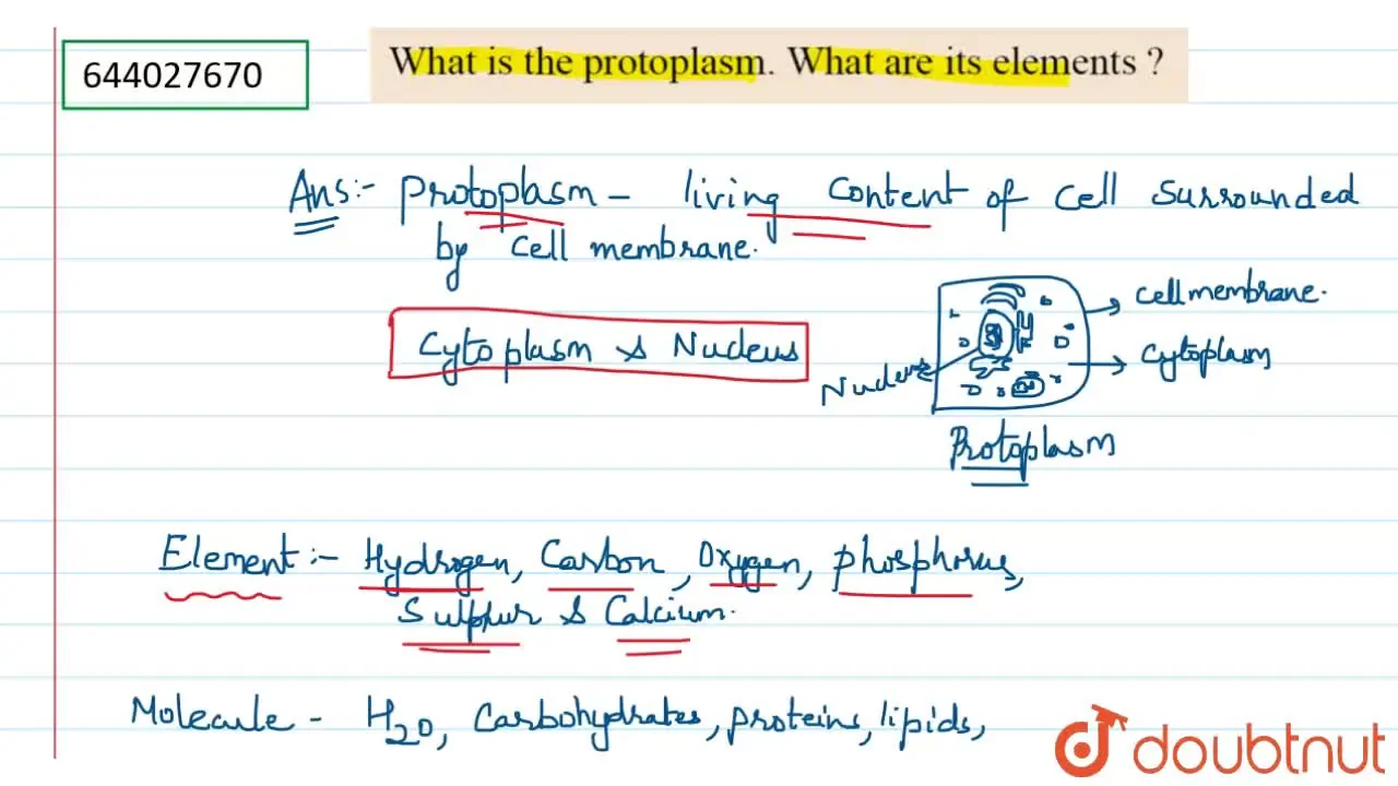 What is the protoplasm. What are its elements