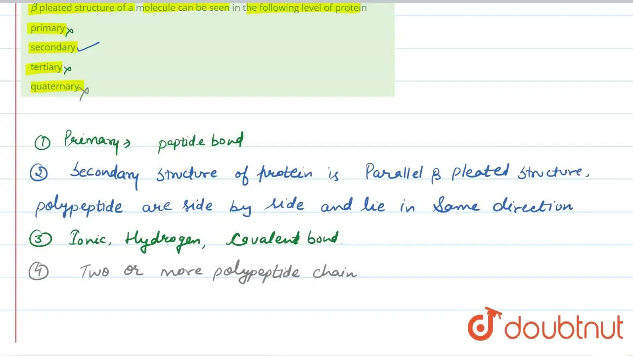 beta pleated structure of a molecule can be seen in the following leve
