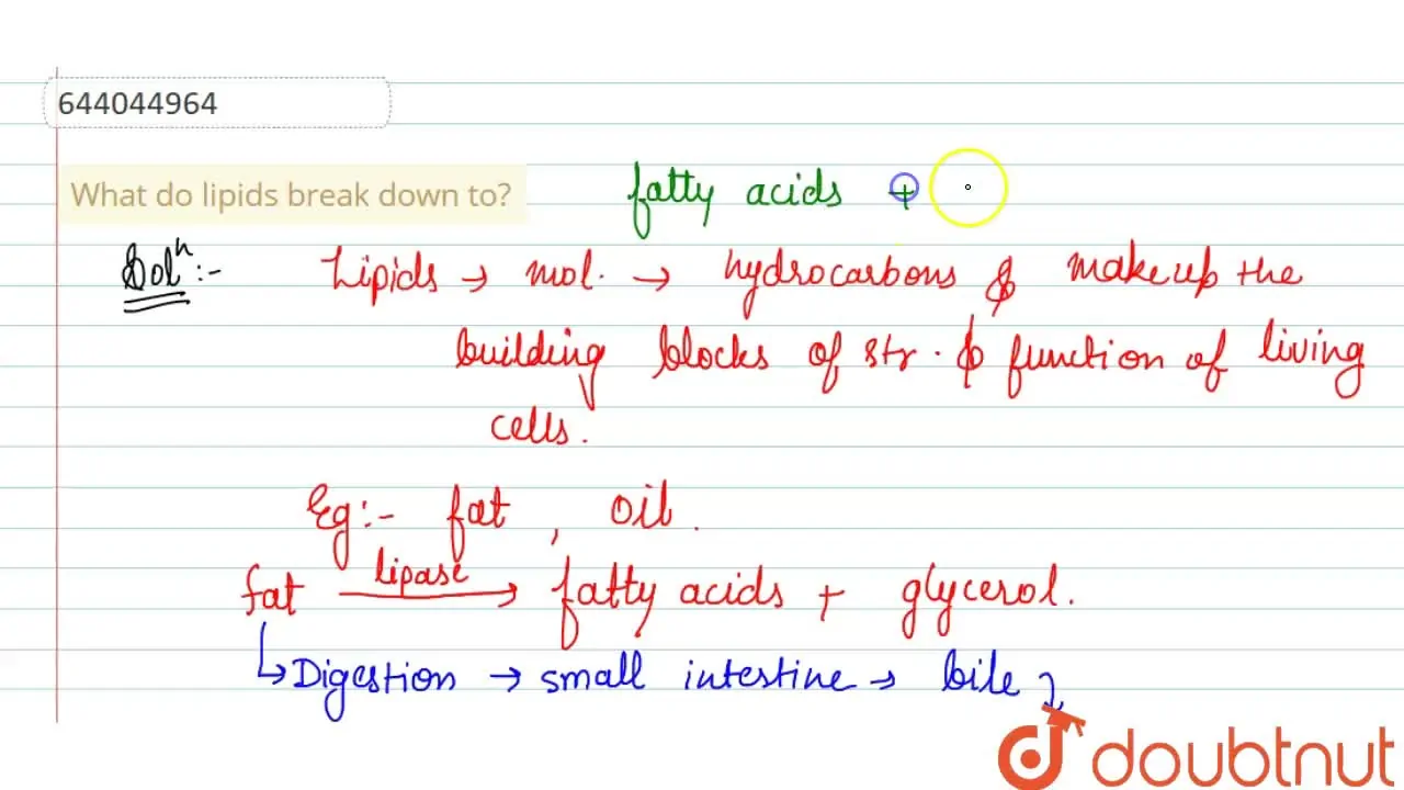 What do lipids break down to?