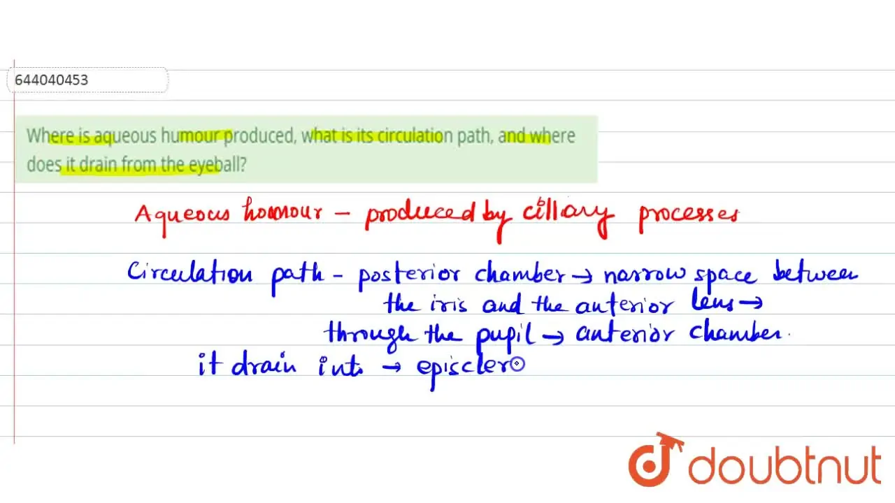 Where is aqueous humour produced, what is its circulation path, and wh