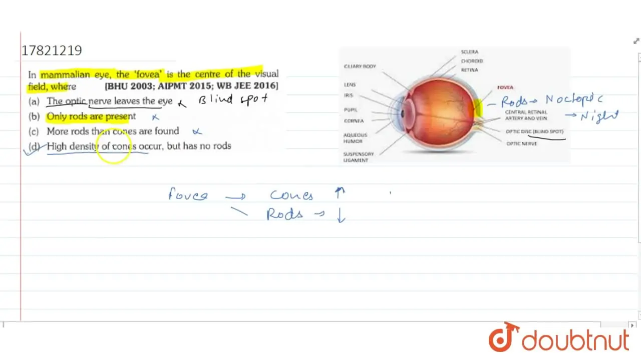 In mammalian eye, the 'fovea' is the centre of the visual field, where