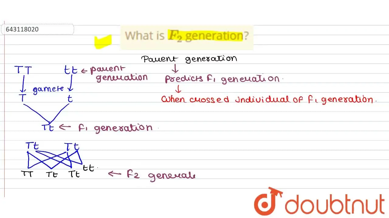 [Bengali Solution] What is F2 generation?