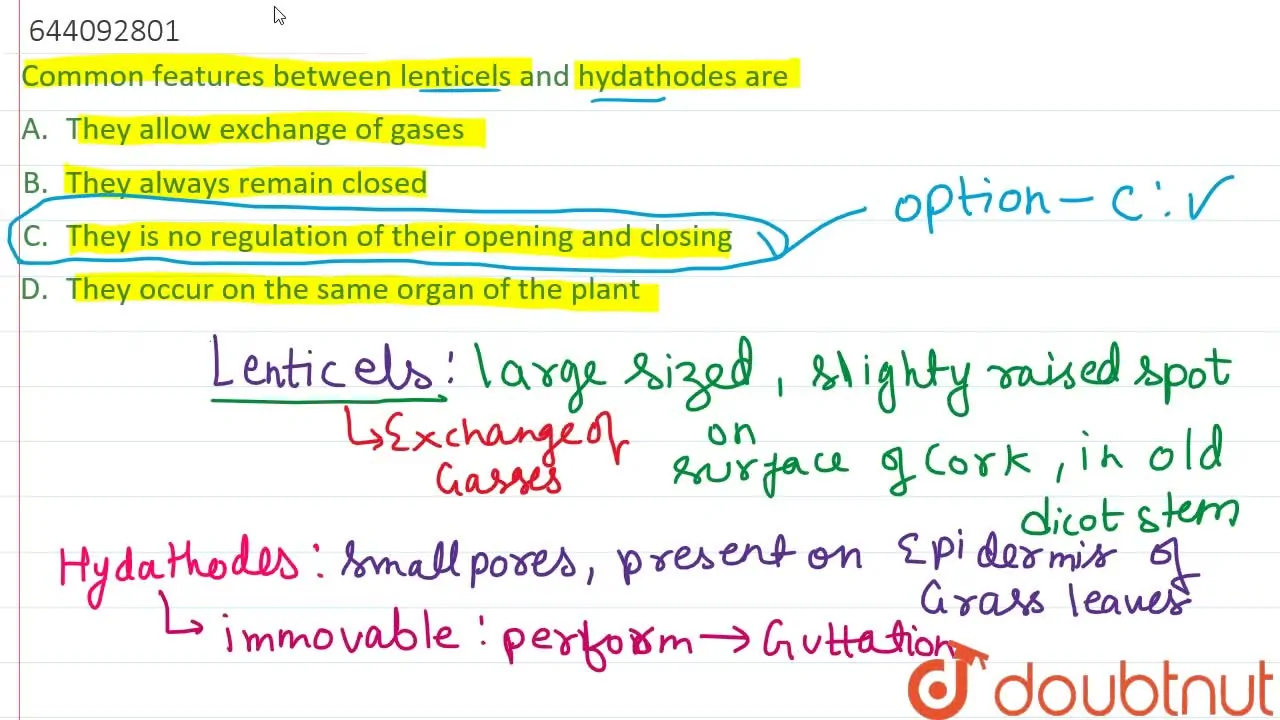 Common features between lenticels and hydathodes are