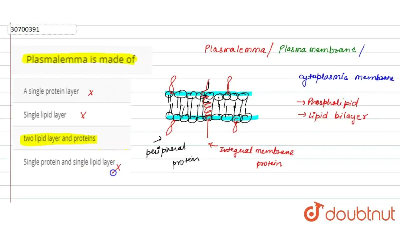 Plasmalemma is made of