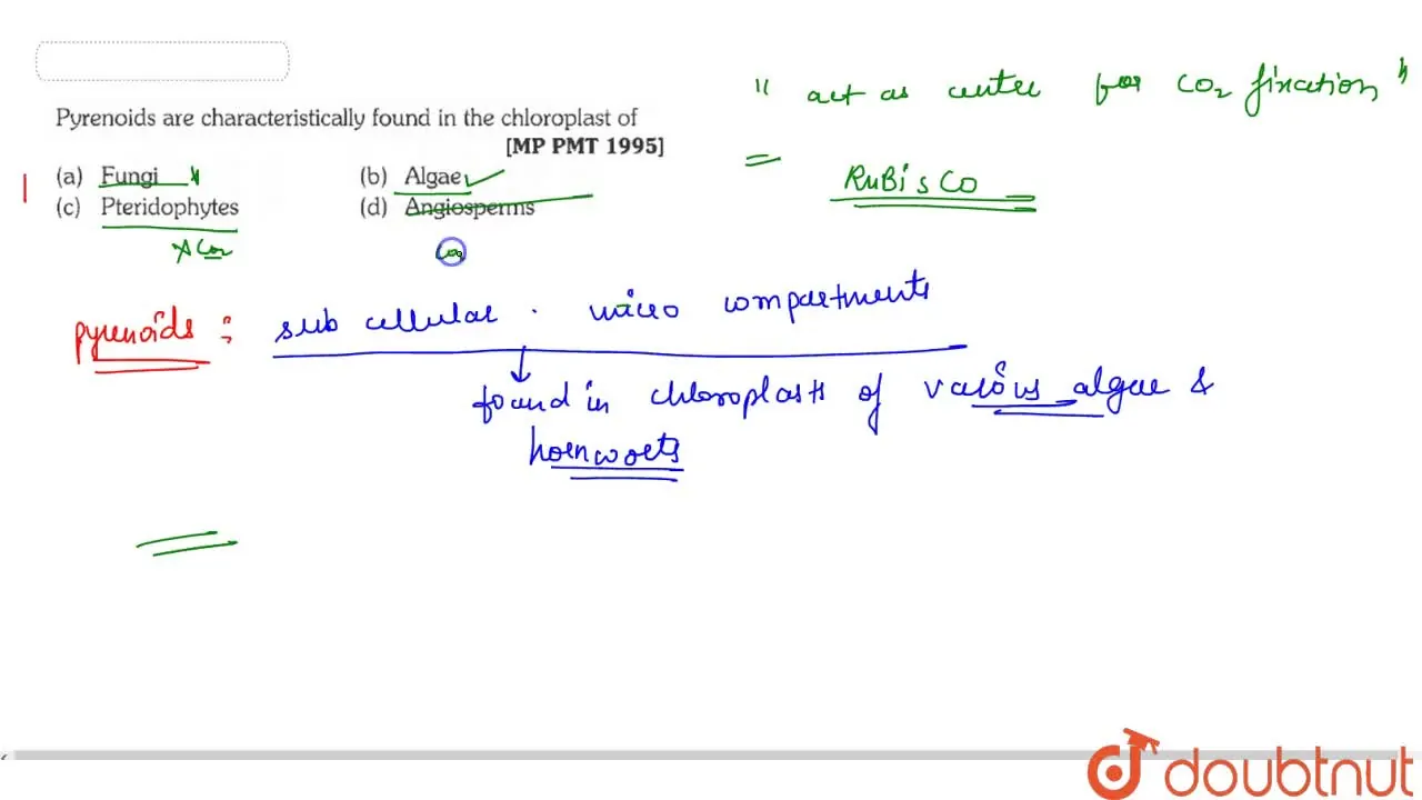 Pyrenoids are characteristically found in the chloroplast of