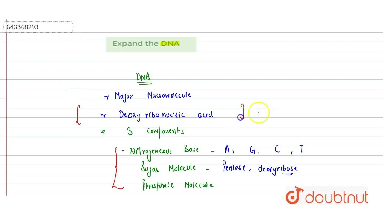 [Solved] Expand the DNA