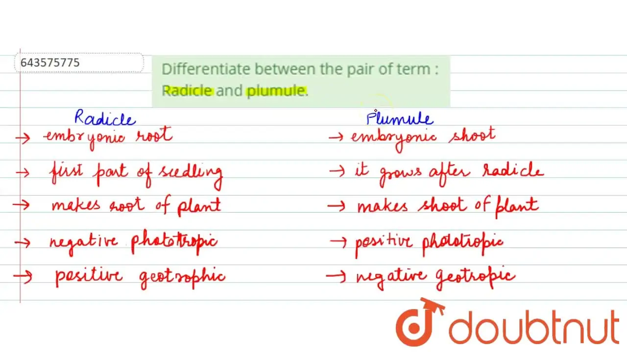 Differentiate between the pair of term : Radicle and plumule.