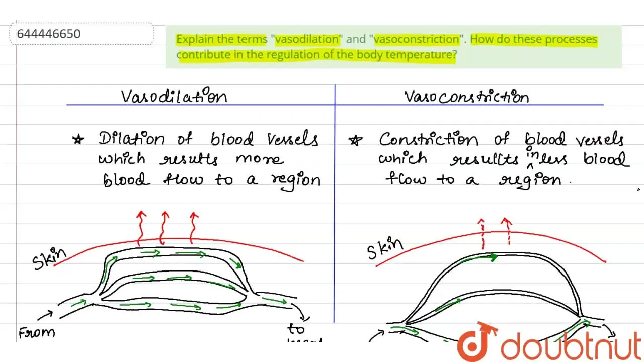 Explain the terms "vasodilation" and "vasoconstriction". How do these