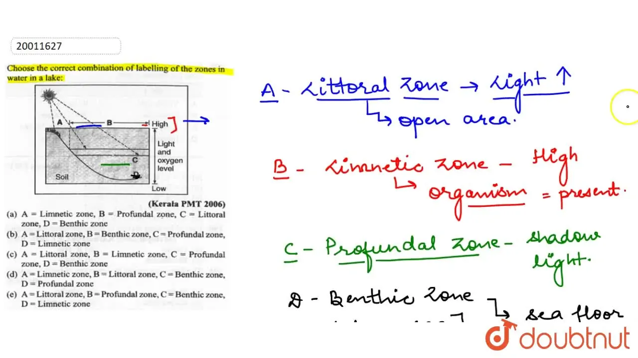 A-Limnetic zone, B-Limnetic zone, C-Benthic zone, D-Profundal zone