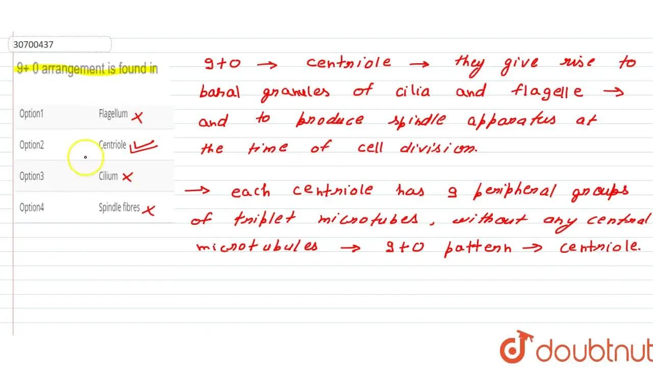 9+ 0 arrangement is found in