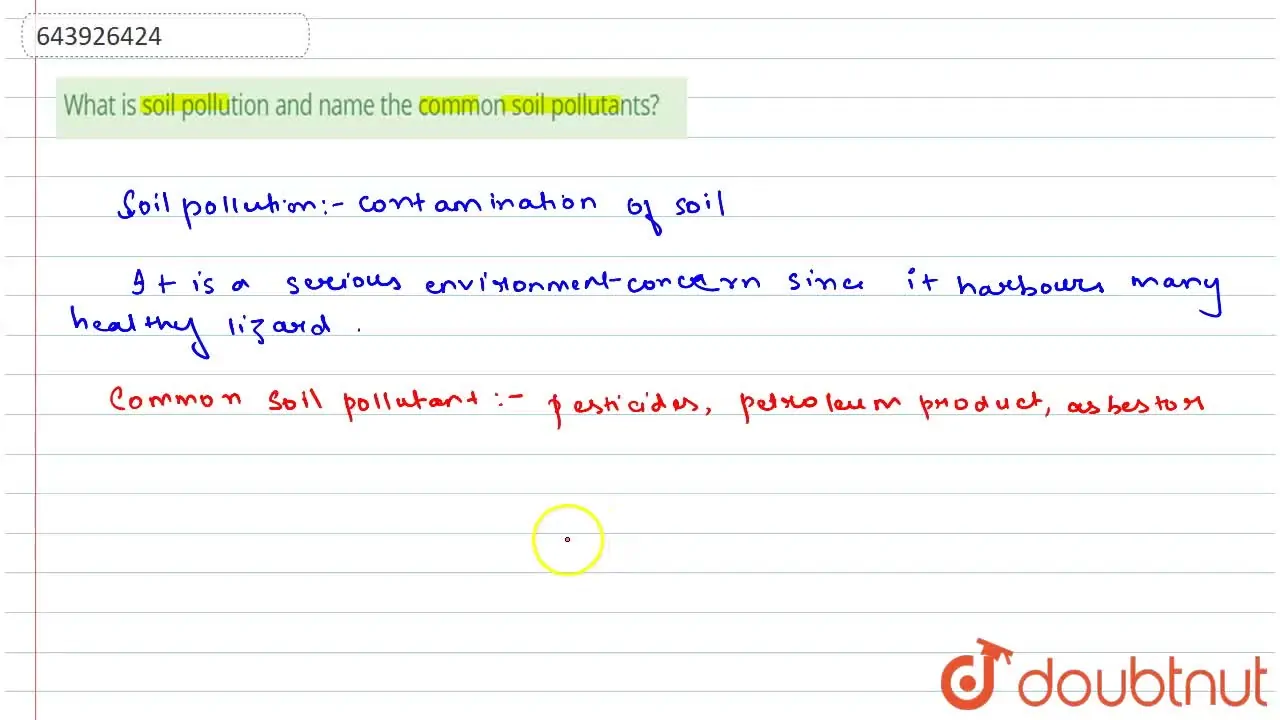 What is soil pollution and name the common soil pollutants?