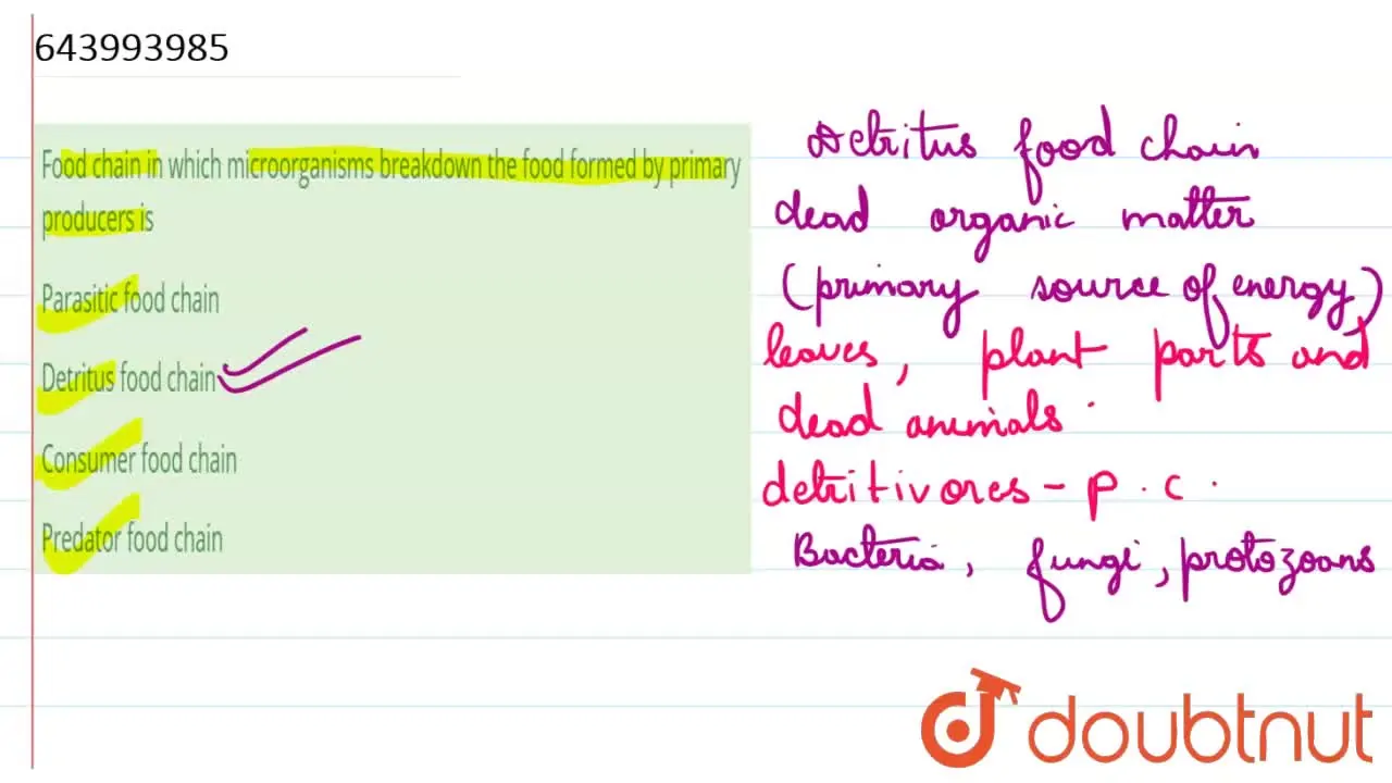 Food chain in which microorganisms breakdown the food formed by primar