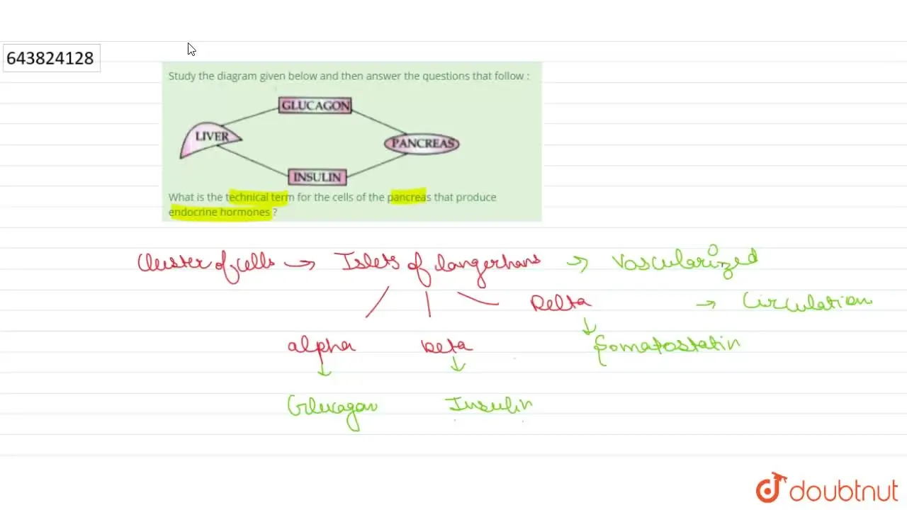 Study the diagram given below and then answer the questions that follo