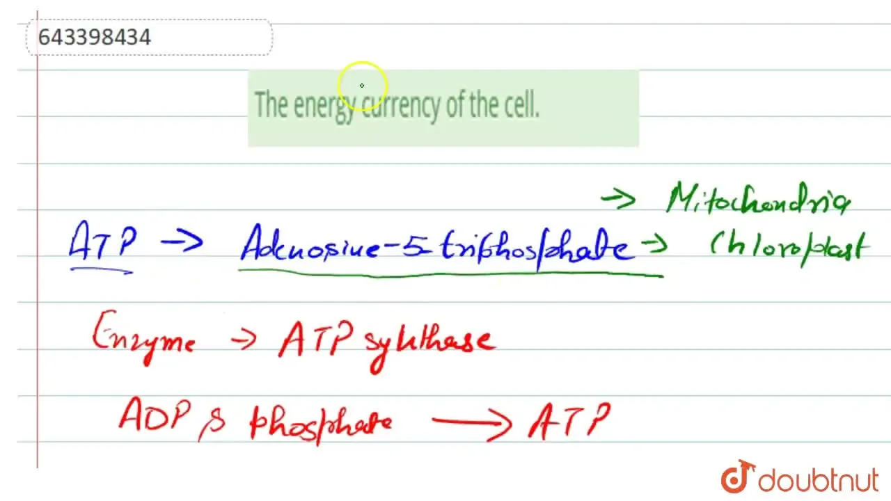 The energy currency of the cell.