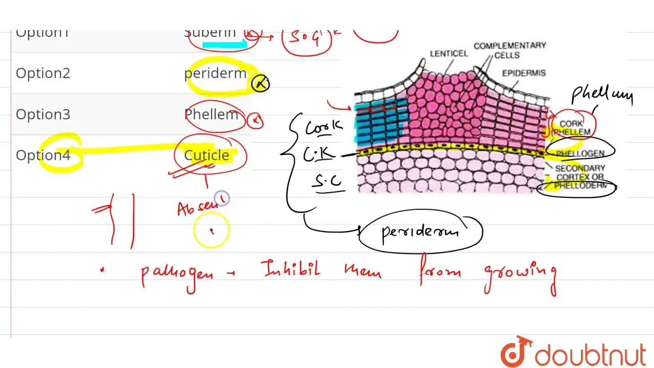Waxy coating on epidermis of young stem is