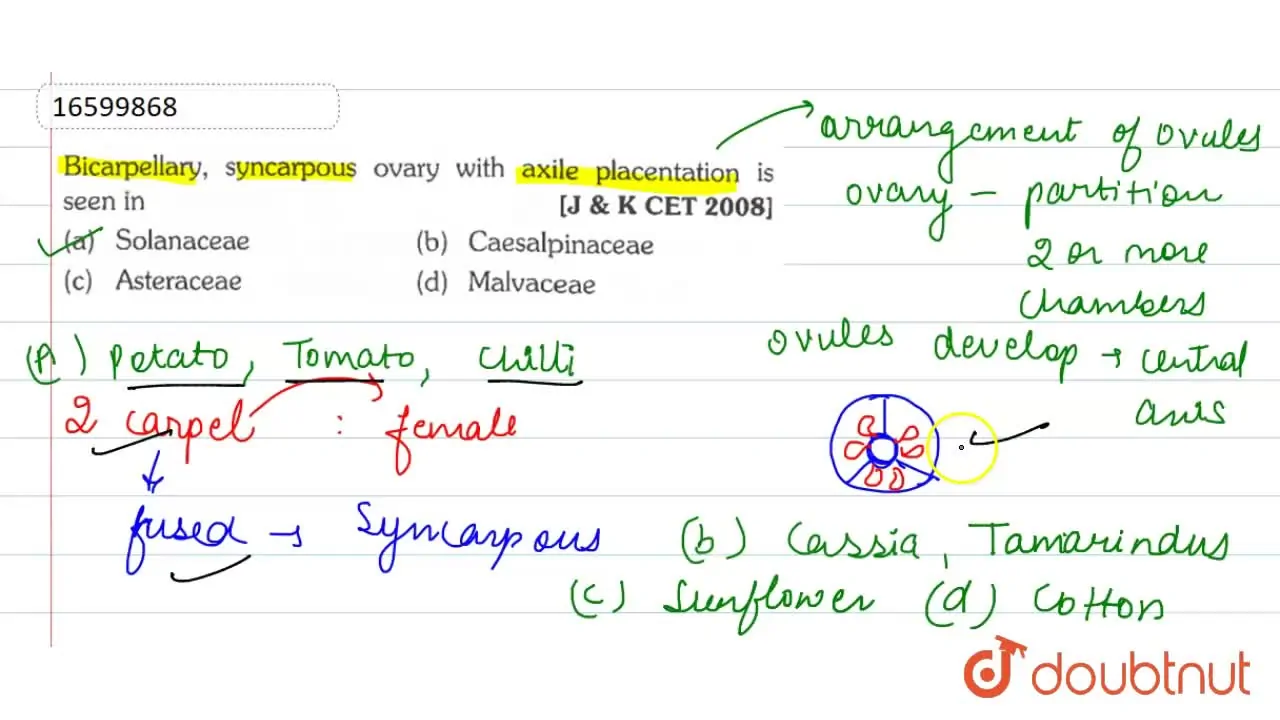 Bicarpellary, syncarpous, ovary with axile placentation is seen in