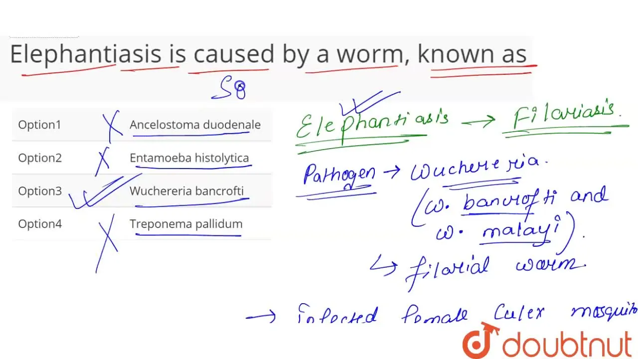 Elephantiasis is caused by a worm, known as