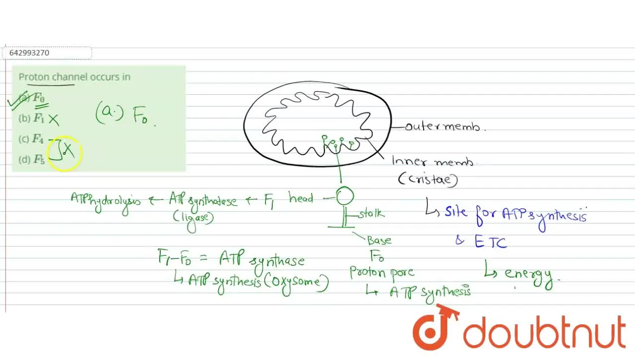Proton channel of oxysome is located in