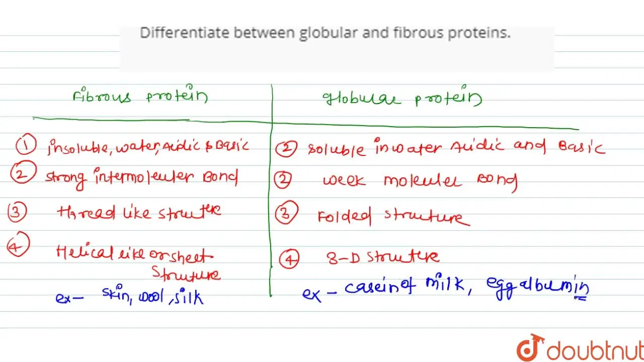 Differentiate between globular and fibrous proteins.