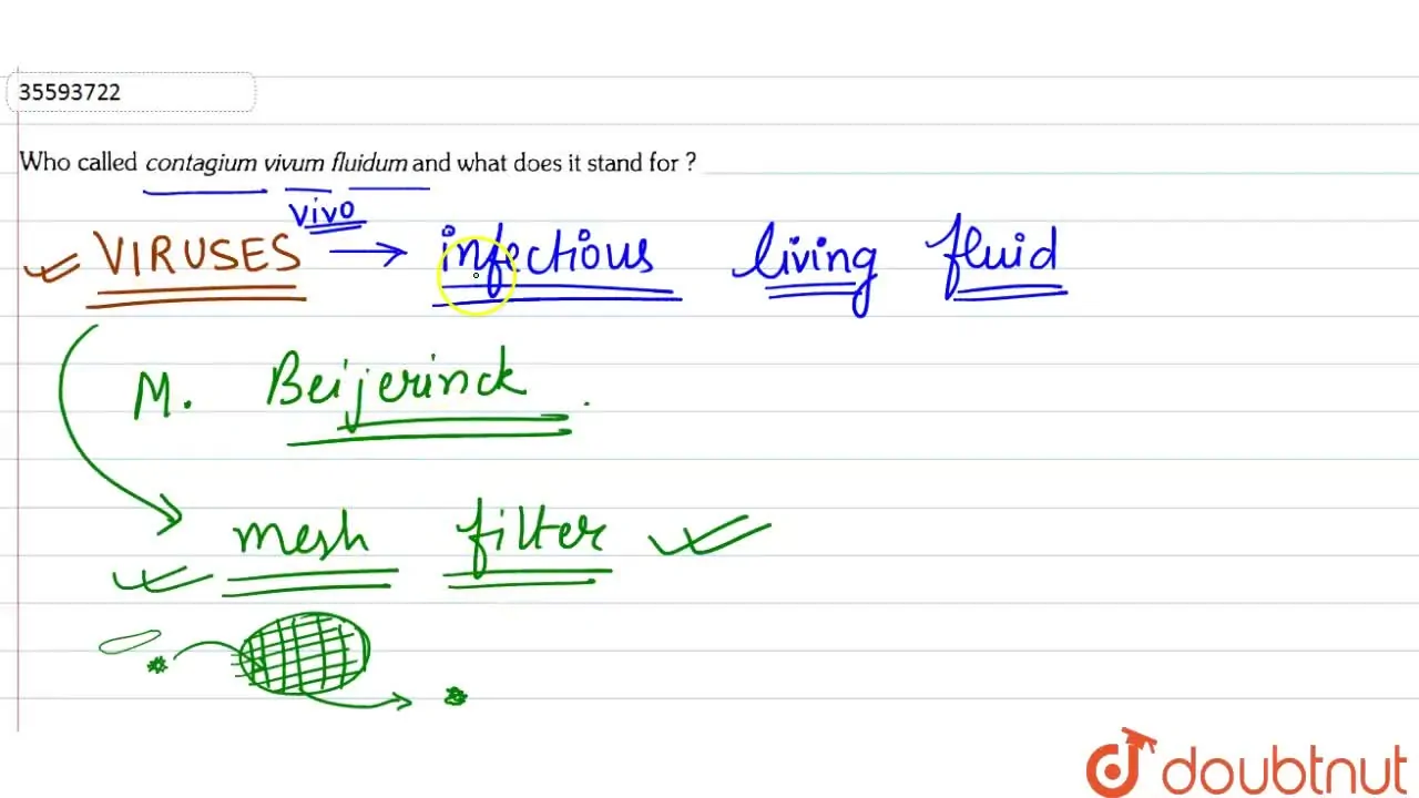 Who called contagium vivum fluidum and what does it stand for?