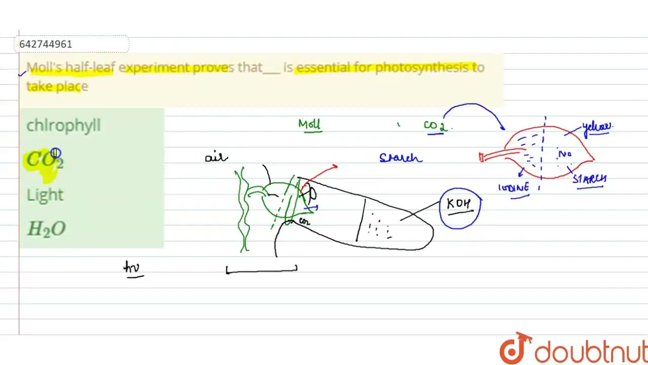 Moll's half-leaf experiment proves that is essential for photosynthesi