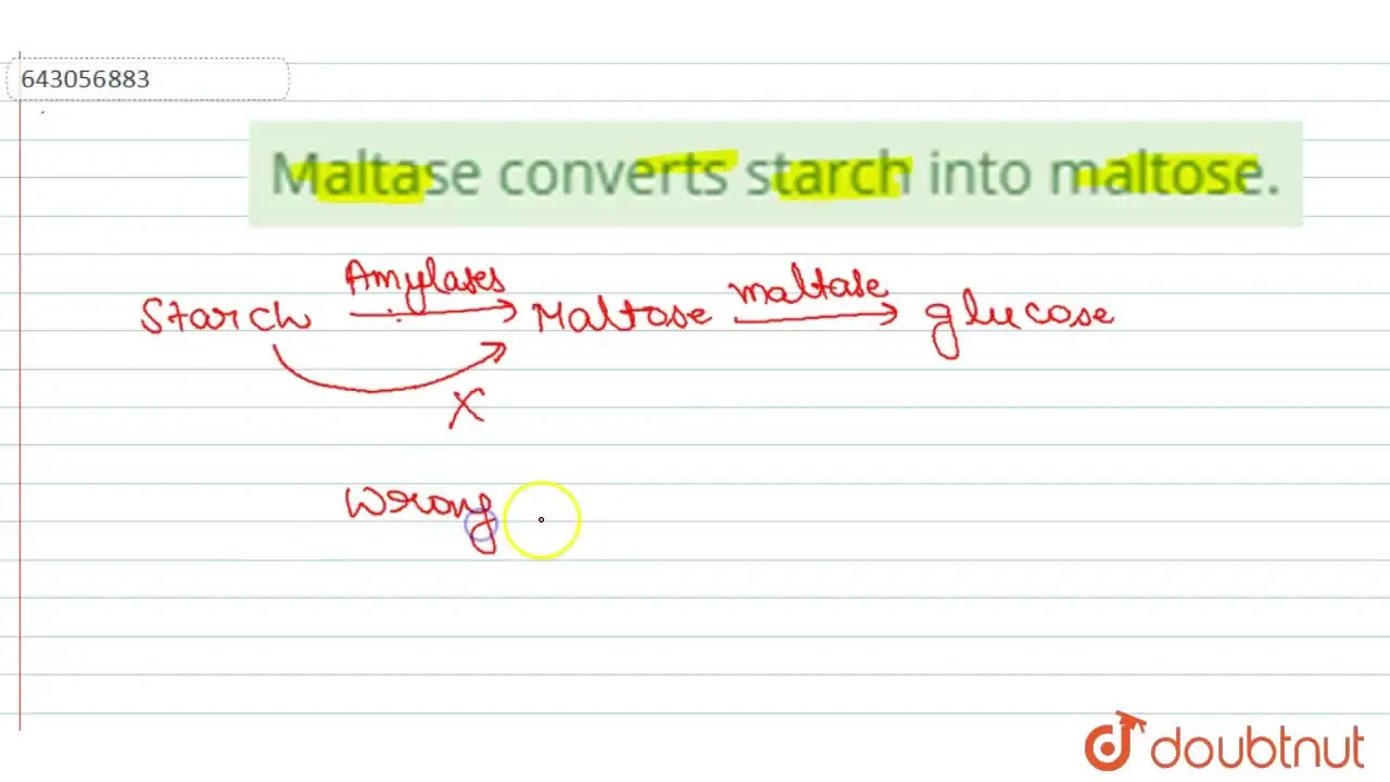 [Punjabi] Maltase converts starch into maltose.