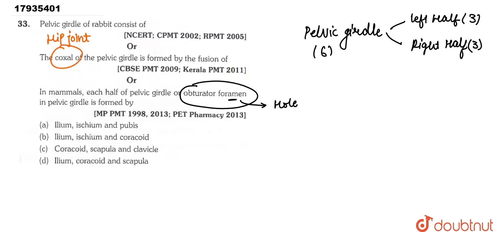 Pelvic girdle of rabbit consist of