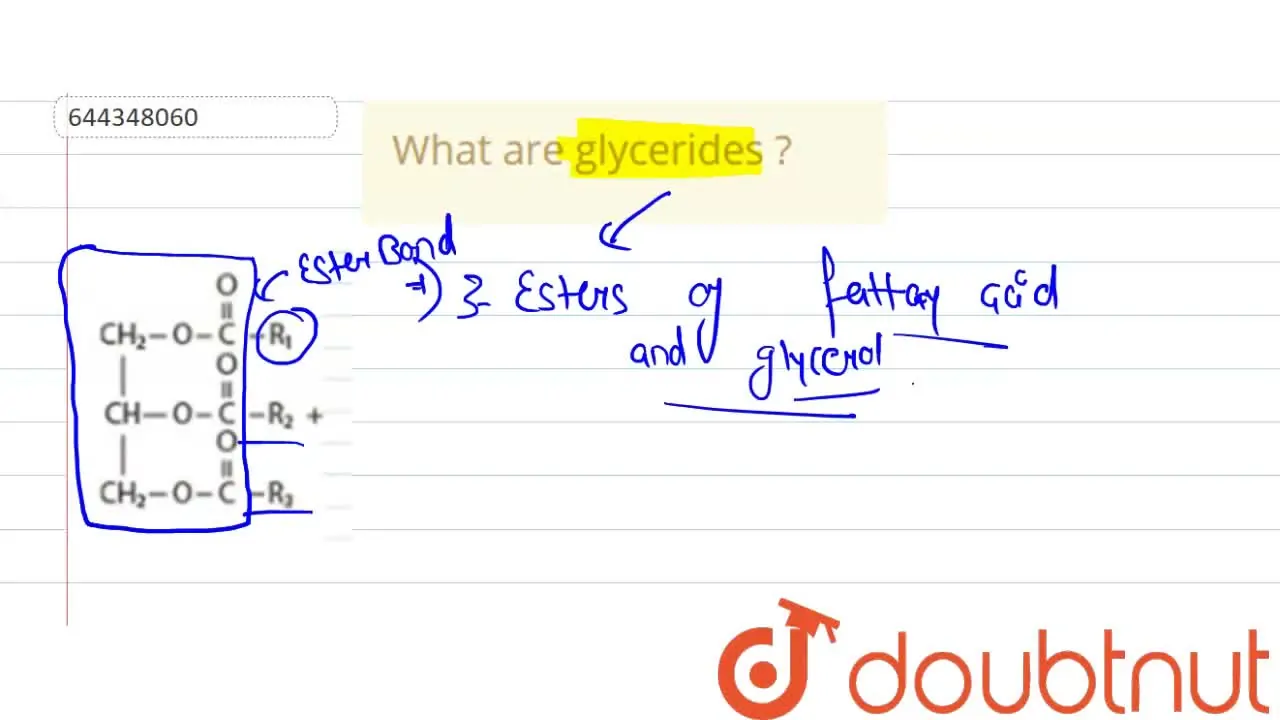What are glycerides