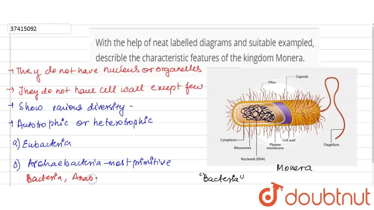 With the help of neat labelled diagrams and suitable exampled, describ