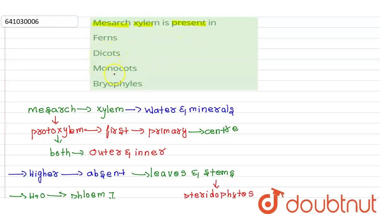 [Telugu Solution] Mesarch xylem is present in