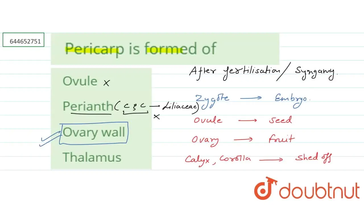 Pericarp is formed of