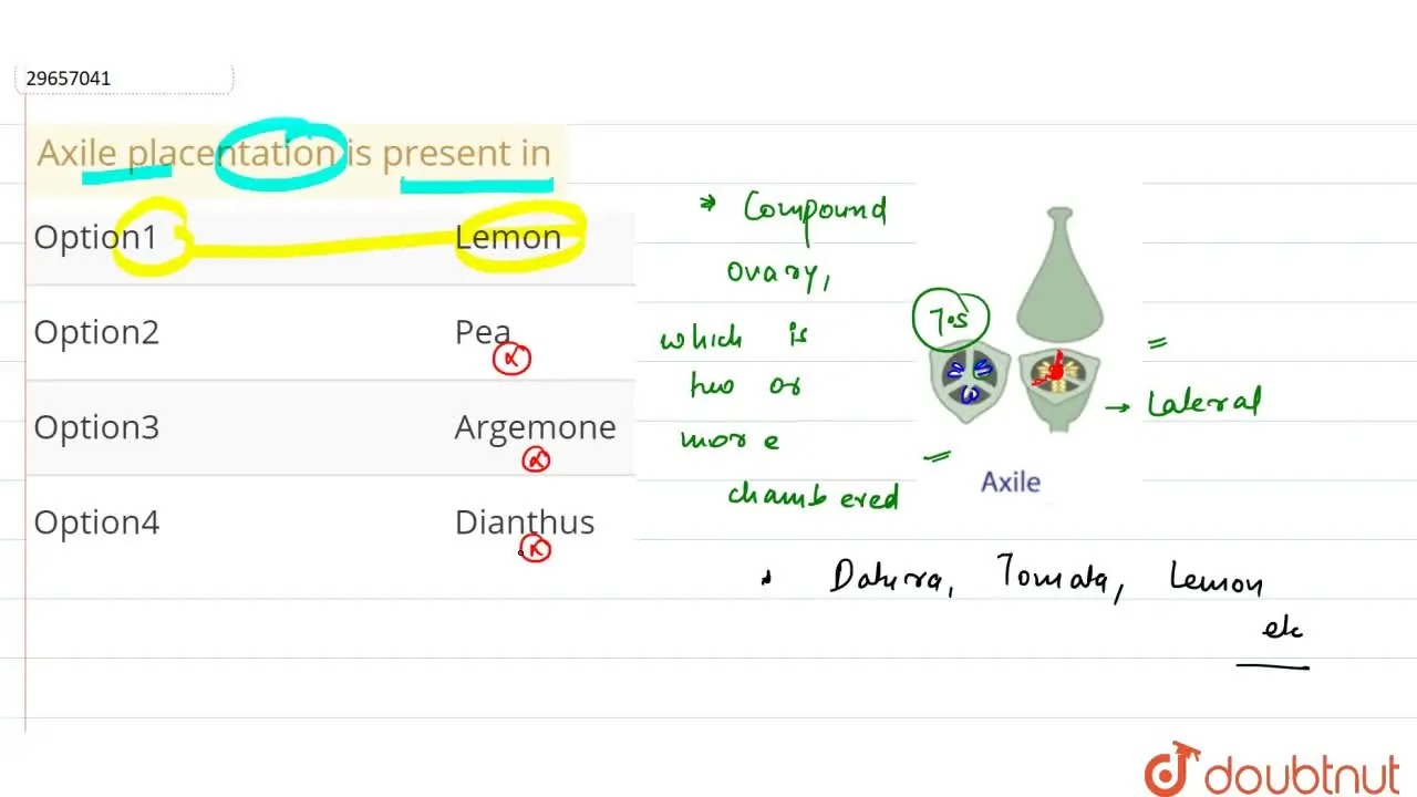 Axile placentation is present in