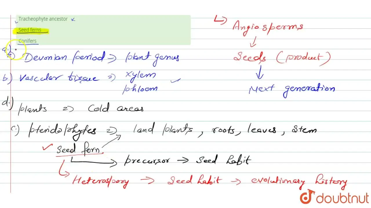 the origin of seeds in the land plants was achieved about 345 million