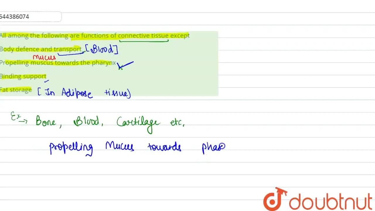 All Among The Following Are Functions Of Connective Tissue Except All Among The Following Are Functions Of Connective Tissue Except