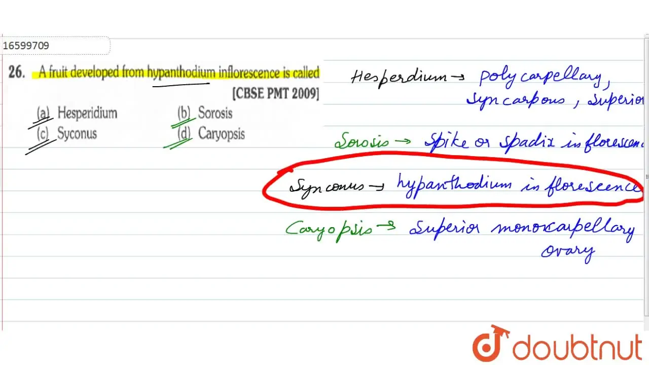A fruit developed from hypanthodium inflorescence is called