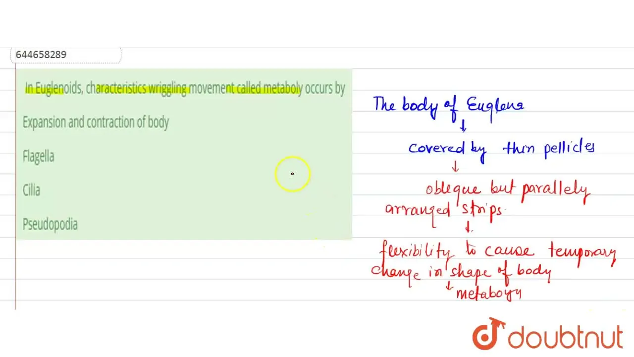 In Euglenoids, characteristics wriggling movement called metaboly occu