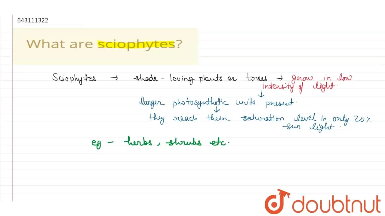 [Punjabi Solution] What are sciophytes?