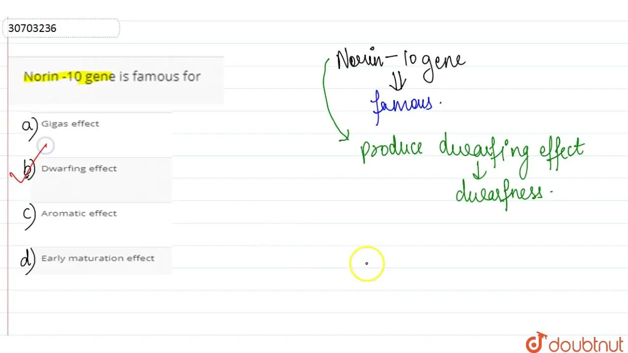 Norin -10 gene is famous for
