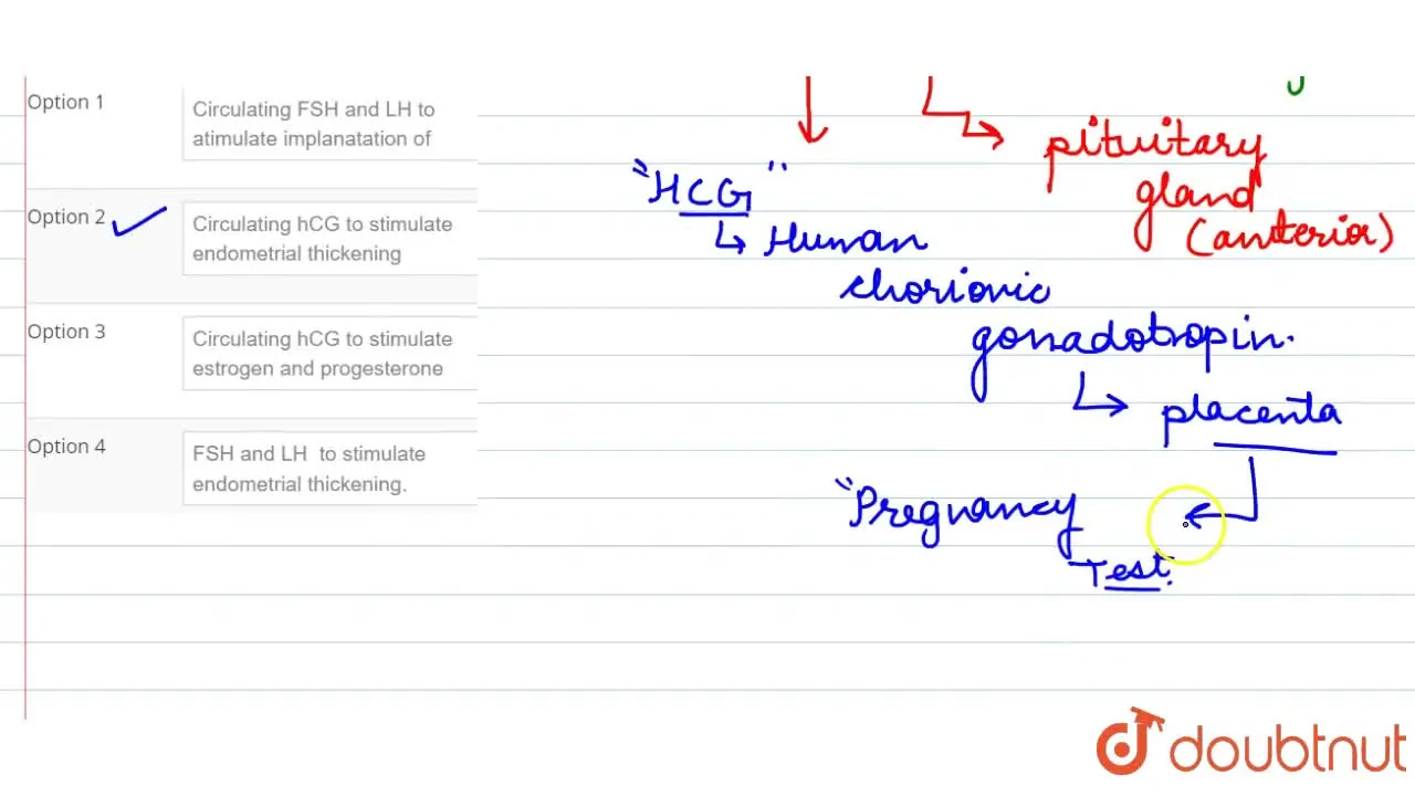 Circulating hCG to stimulate estrogen and progesterone synthesis
