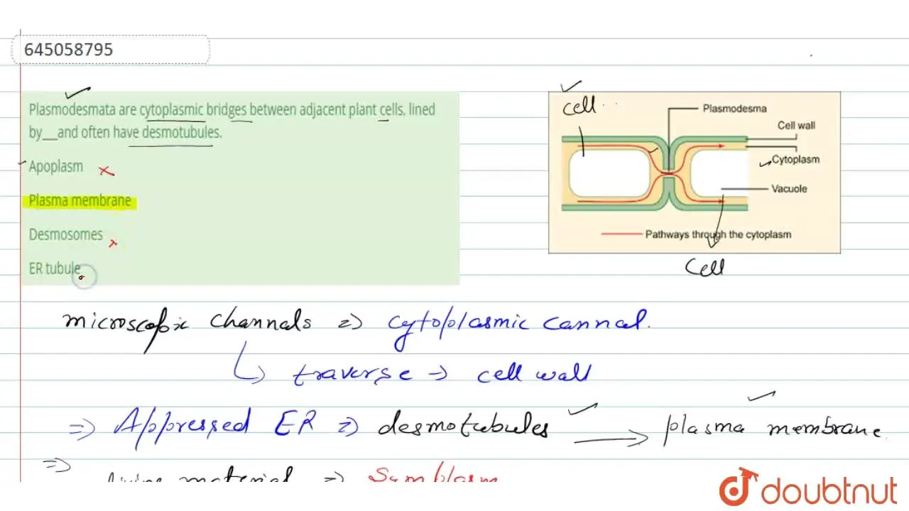 Plasmodesmata are cytoplasmic bridges between adjacent plant cells, li