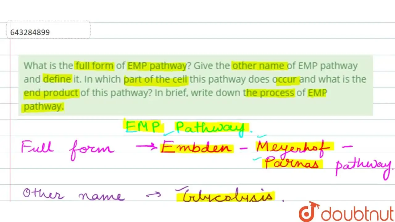 [Bengali Solution] What is the full form of EMP pathway? Give the othe