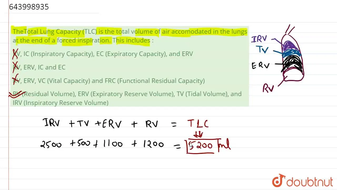 RV, ERV, VC (Vital Capacity) and FRC (Functional Residual Capacity)