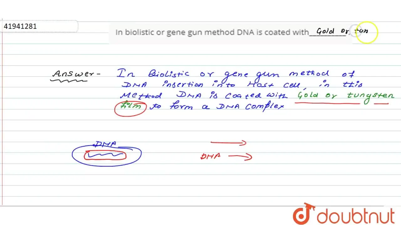 In biolistic or gene gun method DNA is coated with