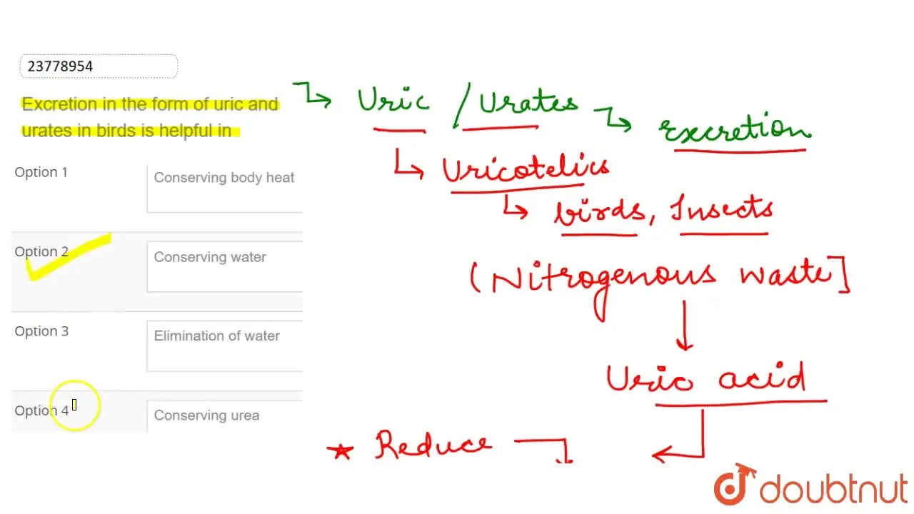 Excretion in the form of uric and urates in birds is helpful in