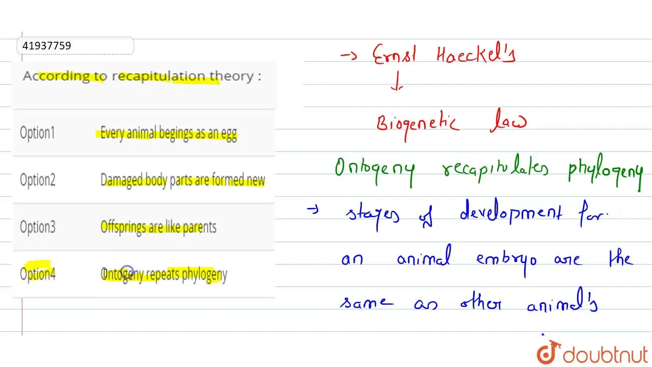 According to recapitulation theory