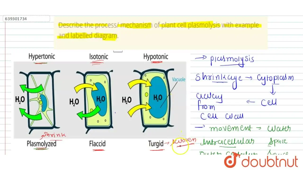 [Gujrati Solution] Describe the process/ mechanism of plant cell plasm